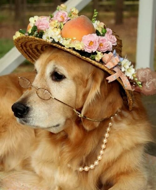 The PLM State: All Dressed Up and Nowhere to Go Part I, PLM Training ... The PLM State: All Dressed Up and Nowhere to Go Part I, PLM Training ...